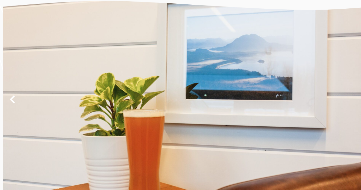Modern V-Joint Primed Woodtone | Windsor Plywood